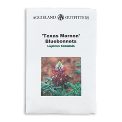 Maroon Bluebonnet Seeds